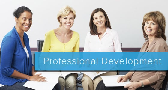 Let Me Get This Straight—All Professional Development is Ineffective?