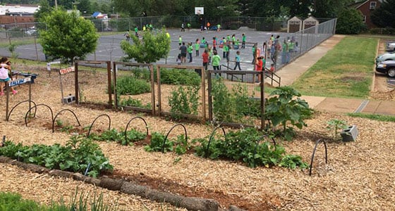 Continuing to Grow Your CLASS Garden